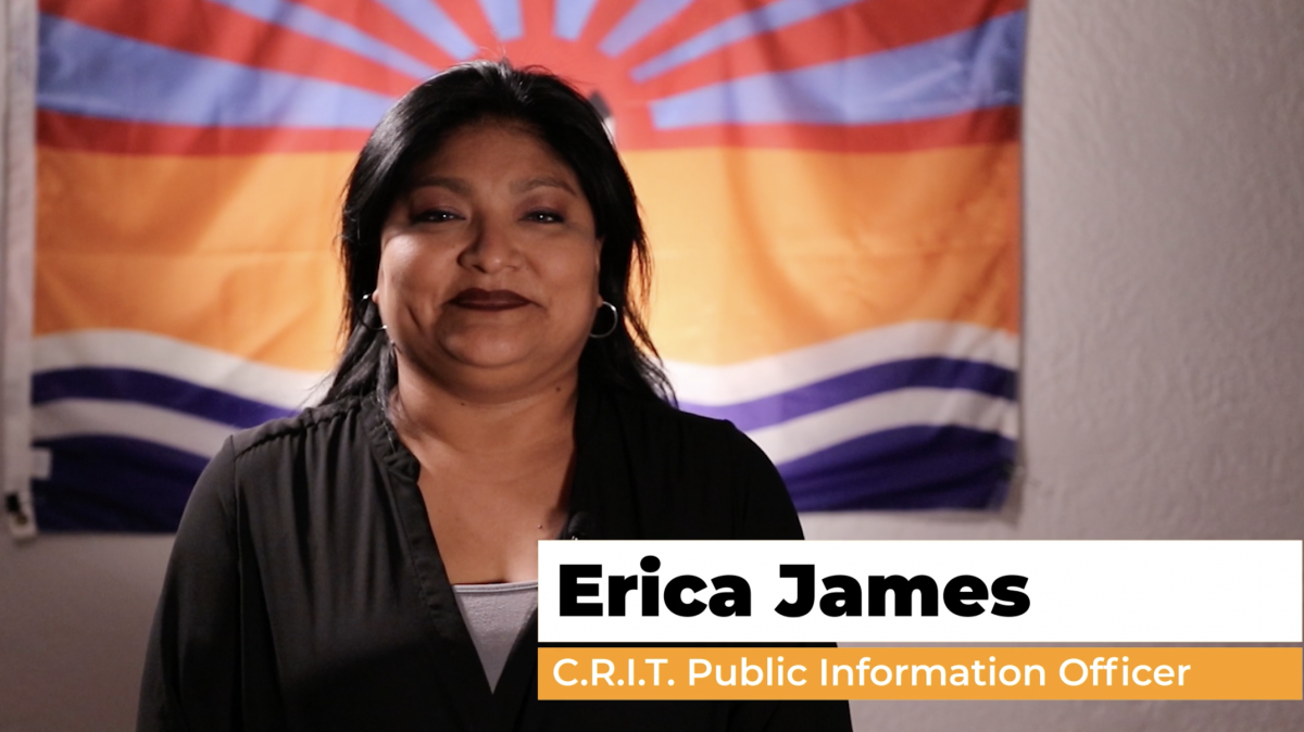 CRIT Media – Just another WordPress site